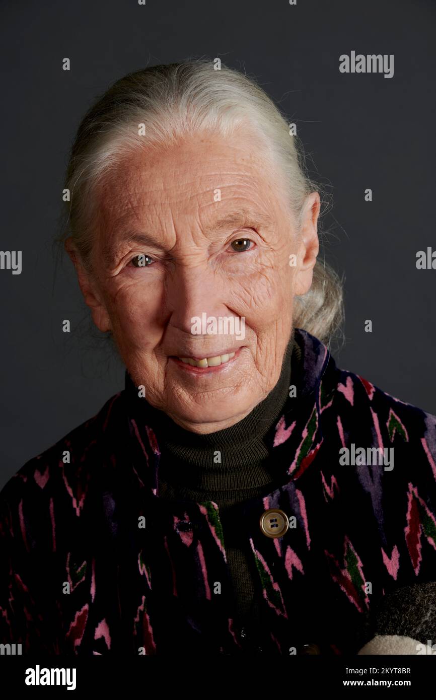 Jane Goodall at The Oldie of the Year Awards 2022 Stock Photo - Alamy