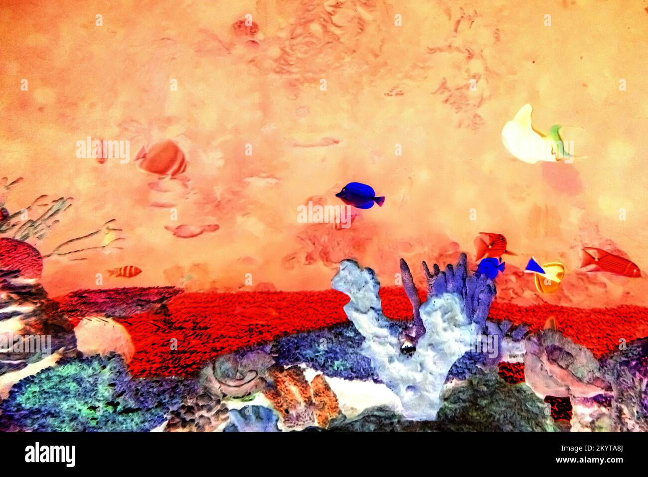 Colorful aquarium fishes in dark blue water. Abstraction. Art photo ...
