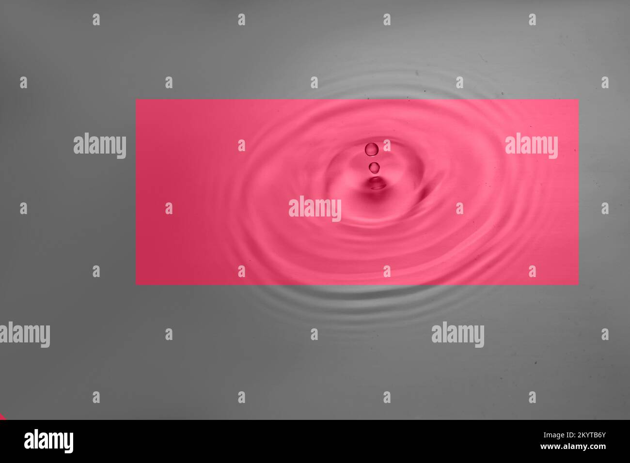 Viva magenta water ripple and water drop. Concept poster of color of ...