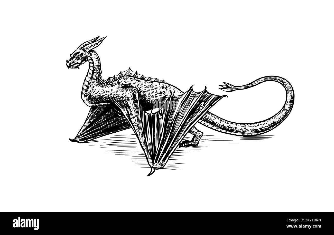 Dragon in Vintage style. Mythological animal or traditional reptile ...