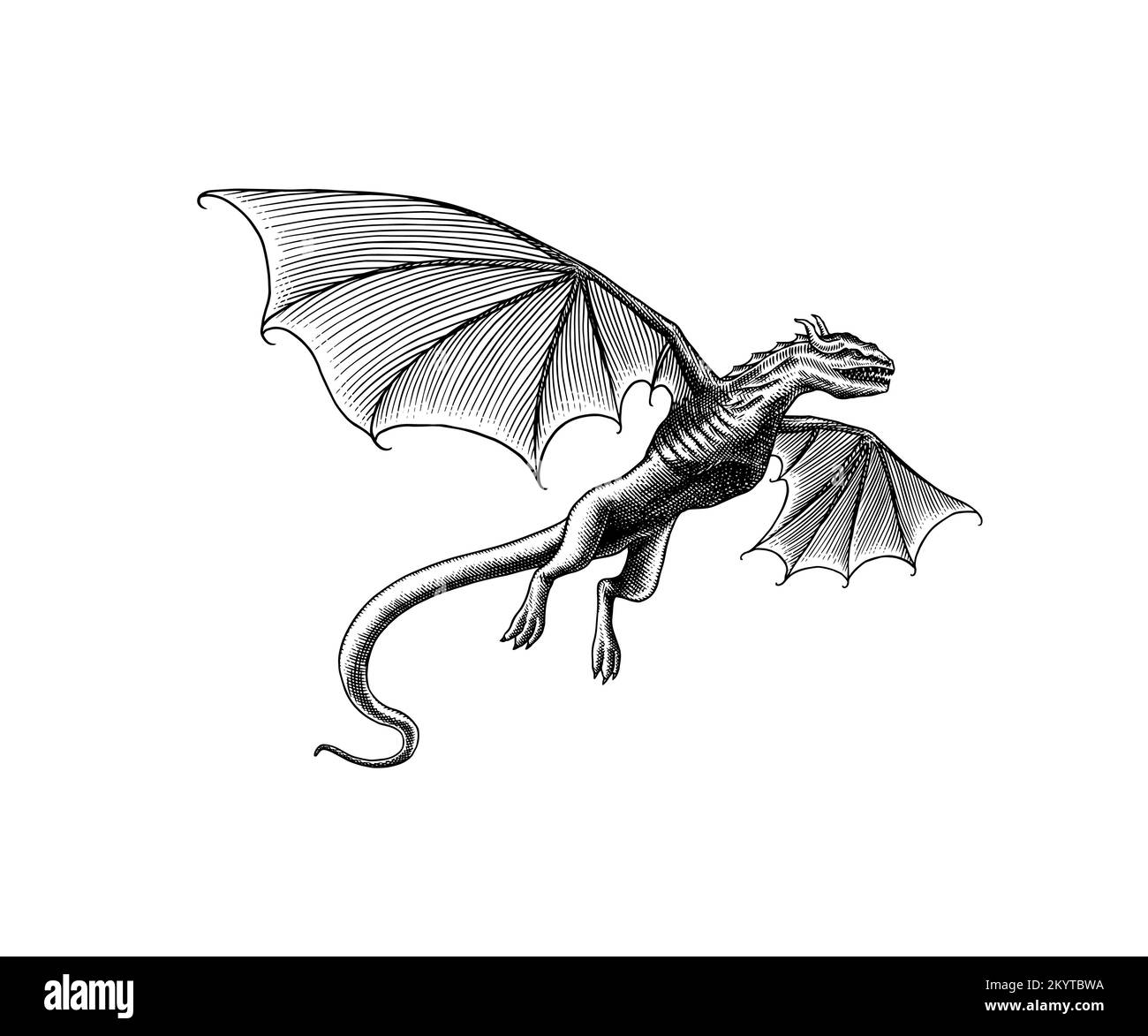 Dragon in Vintage style. Mythological animal or traditional reptile ...