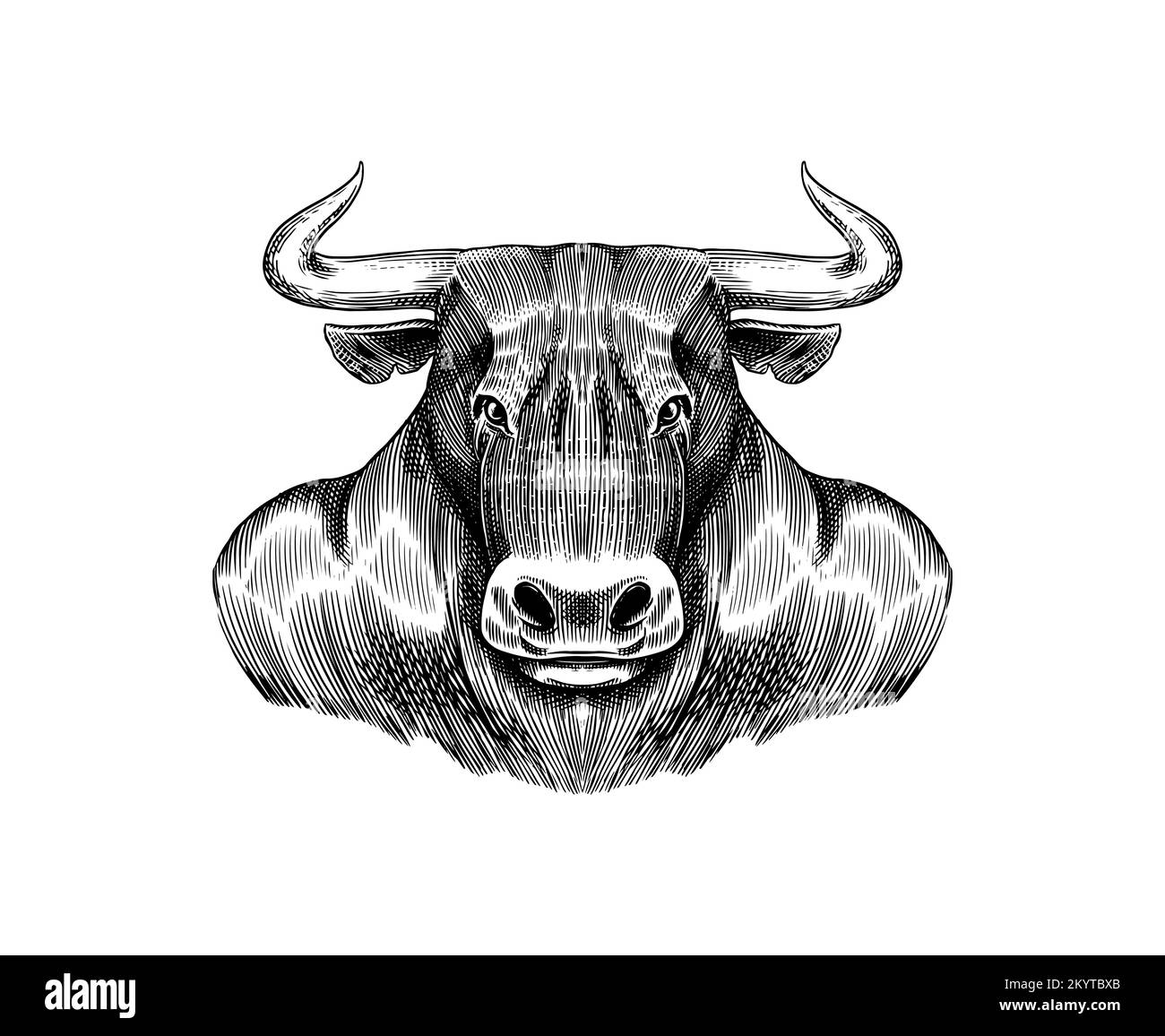 Buffalo Bull. Fashionable animal. Hand drawn Engraved old monochrome ...