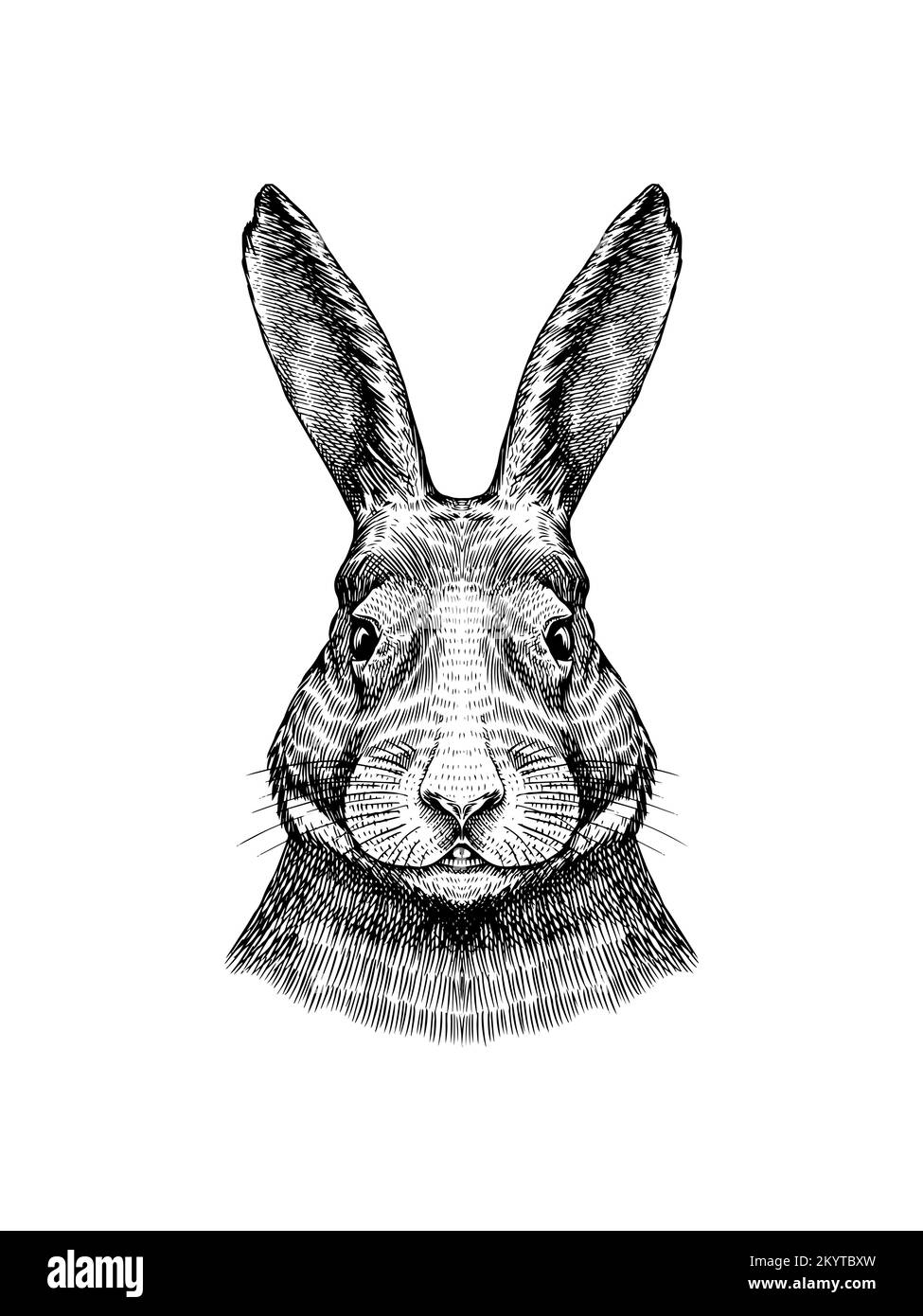 Running White Rabbit Drawing