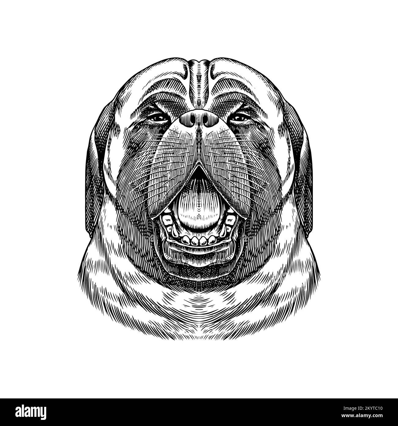 Pedigree English Mastiff. Domestic dog. Animal in vintage style. Retro ...