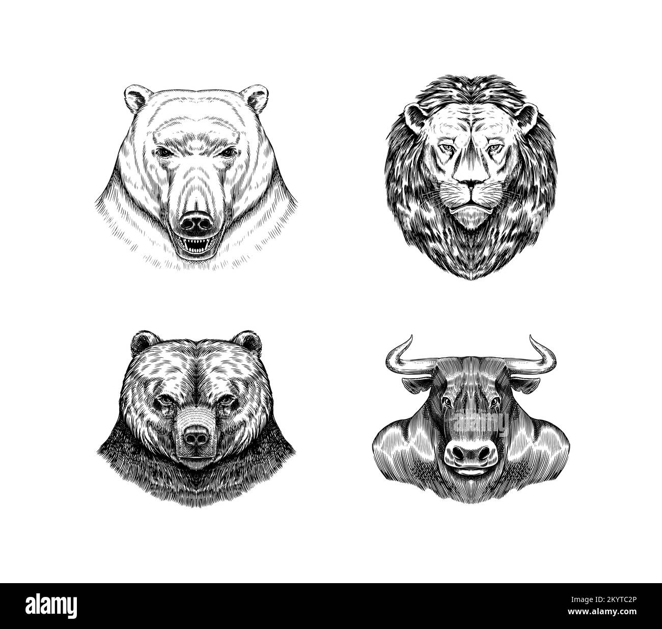 Polar bear and lion, Brown bear and bull. Animal in vintage style ...