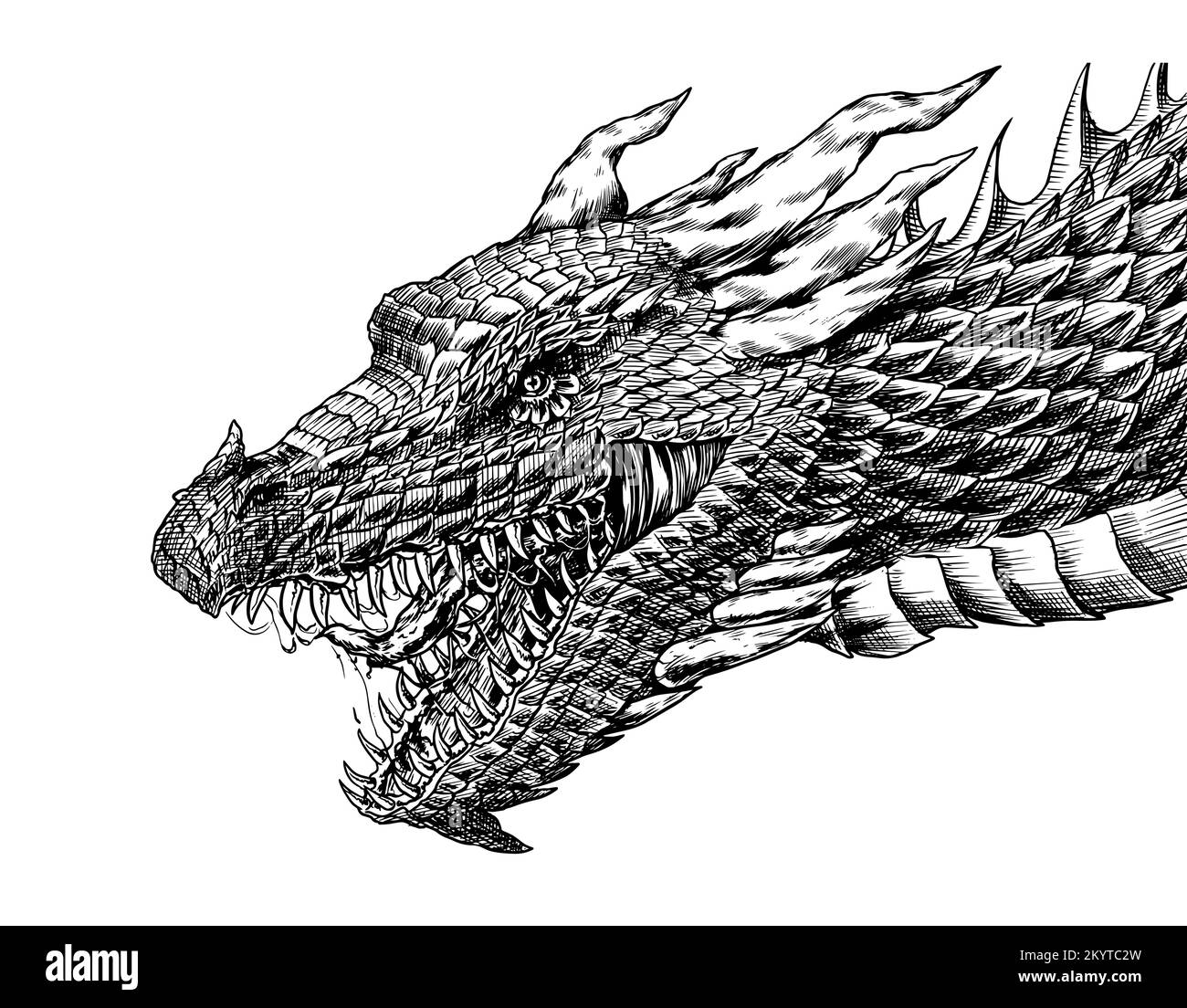 Dragon in Vintage style. Mythological animal or traditional reptile ...