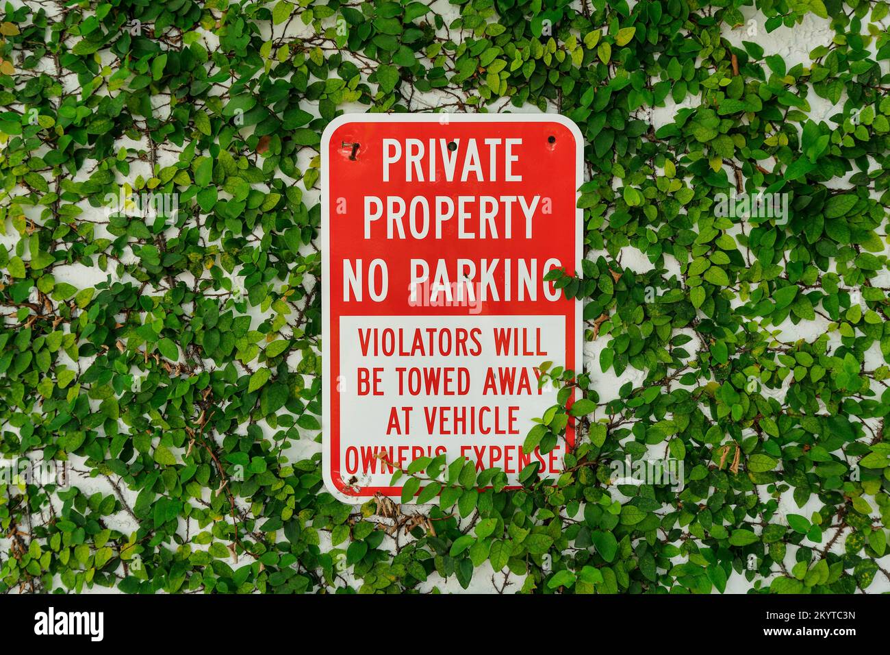 Private Property No Parking sign against wall with leaves in Destin ...