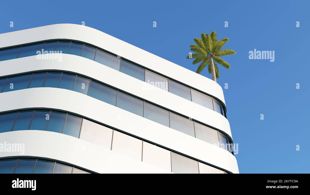 one palm tree on the edge roof building. 3d rendering Stock Photo - Alamy