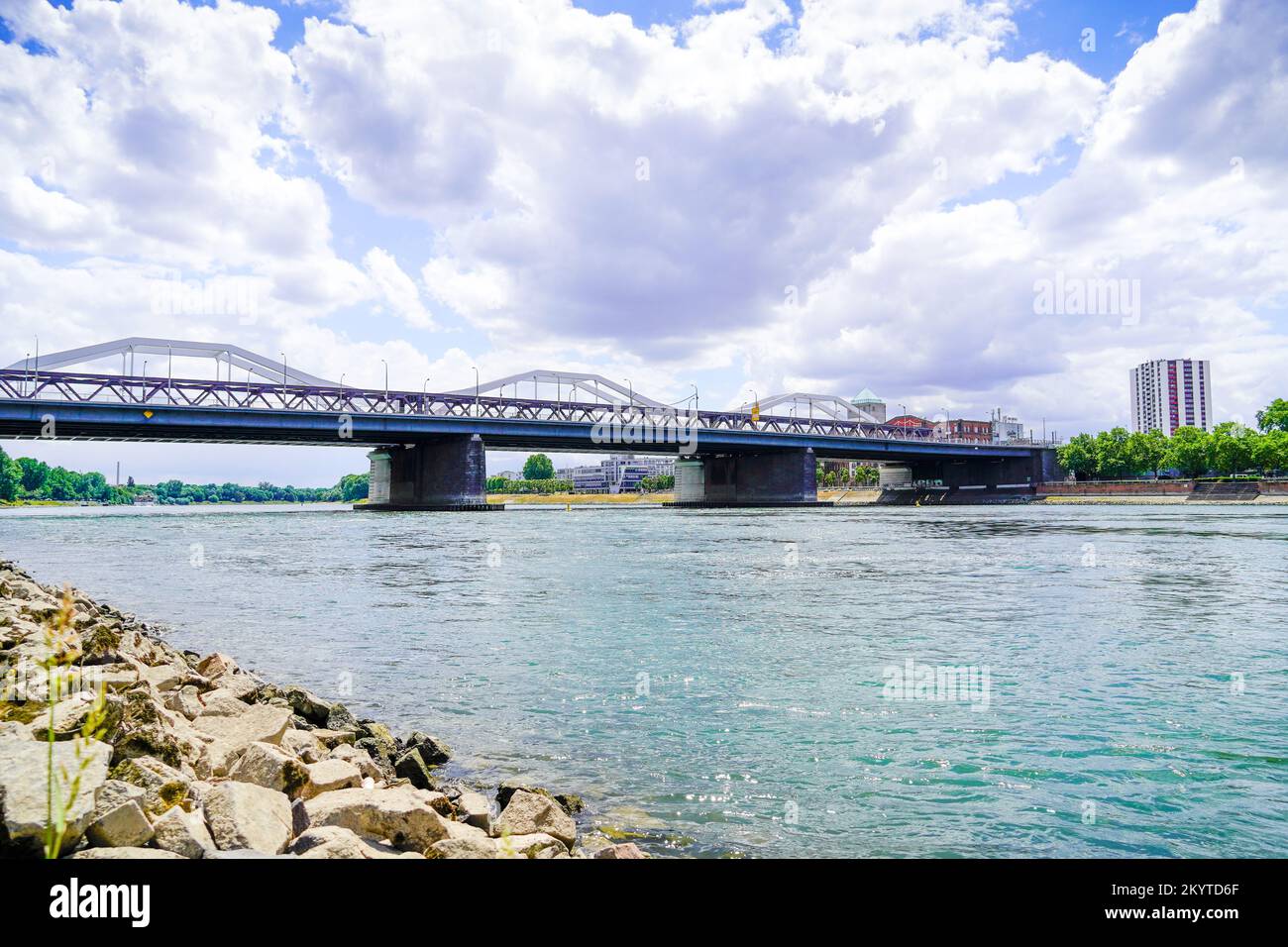 Konrad Adenauer Bridge on the Rhine near Ludwigshafen Stock Photo - Alamy