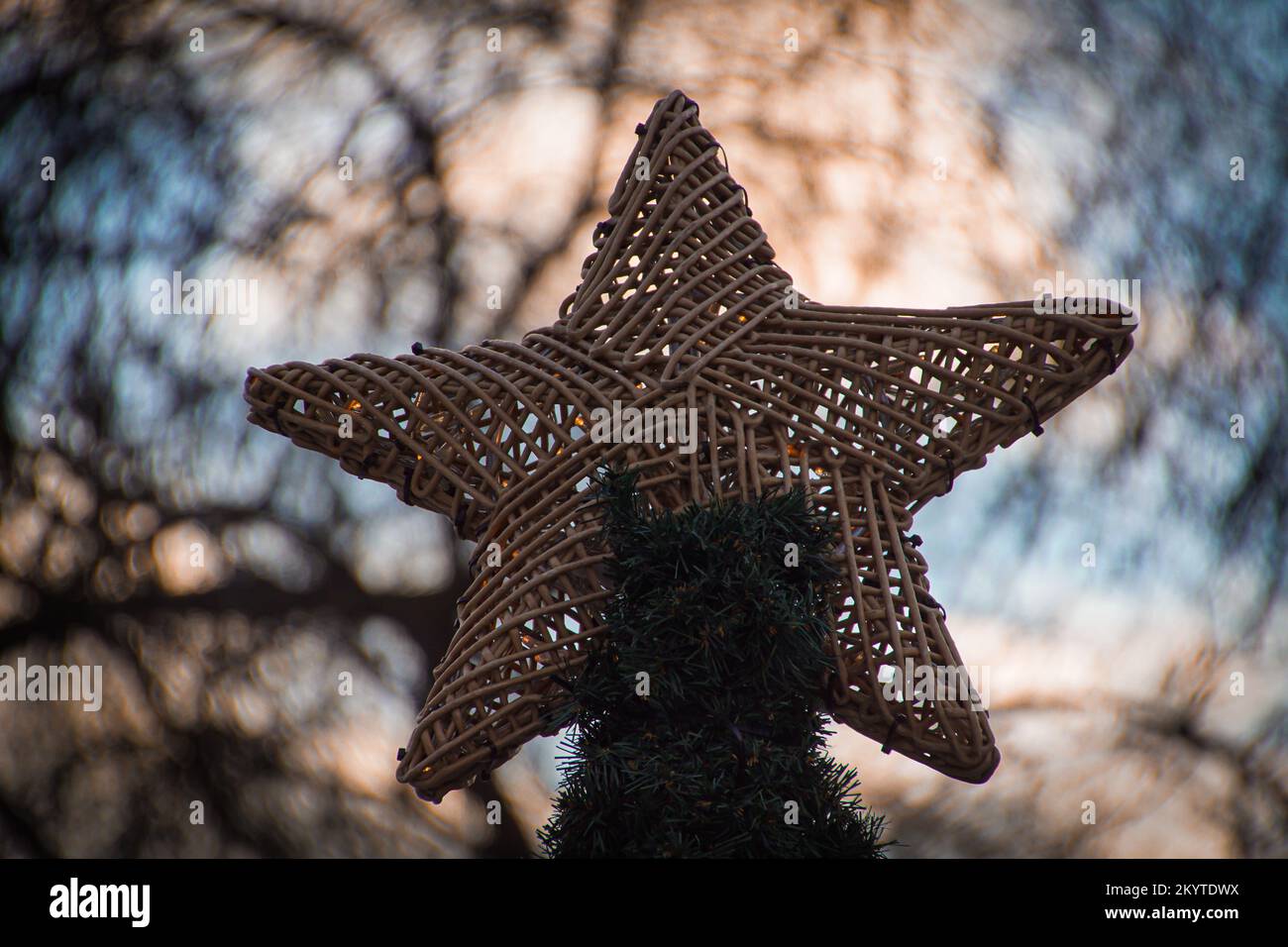 Low angle view of star shape decoration on top of a tree Stock Photo ...