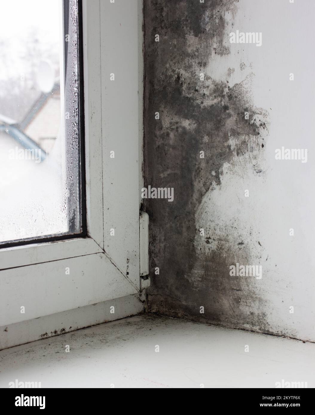Condensation mould window hi-res stock photography and images - Alamy