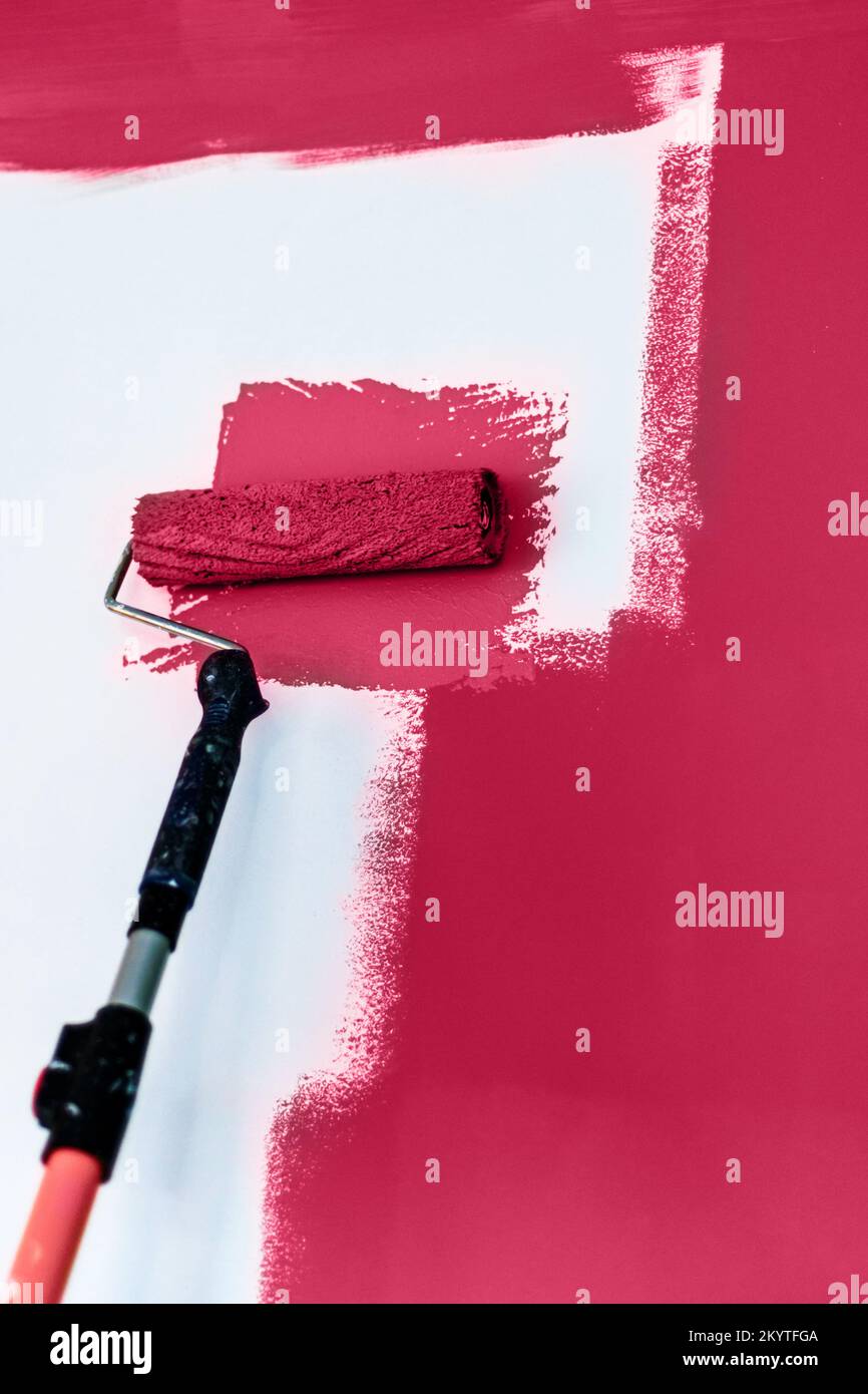 Painting and refreshing the wall with viva magenta color paint using ...