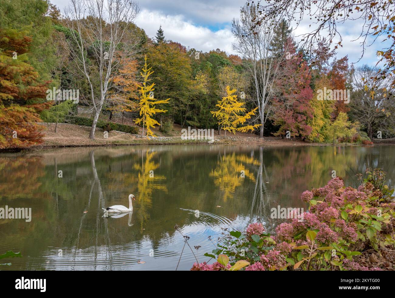 Fall Colours in Sariyer district of Istanbul, Turkey Stock Photo - Alamy