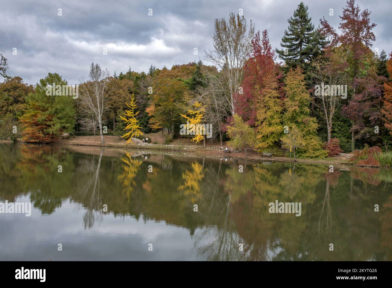 Fall Colours in Sariyer district of Istanbul, Turkey Stock Photo - Alamy
