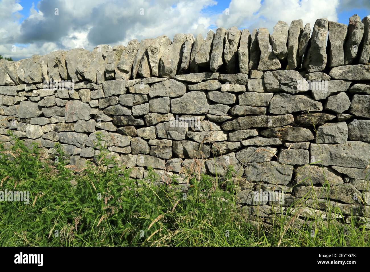 Example of a Carboniferous Limestone dry stone wall from Derbyshire ...