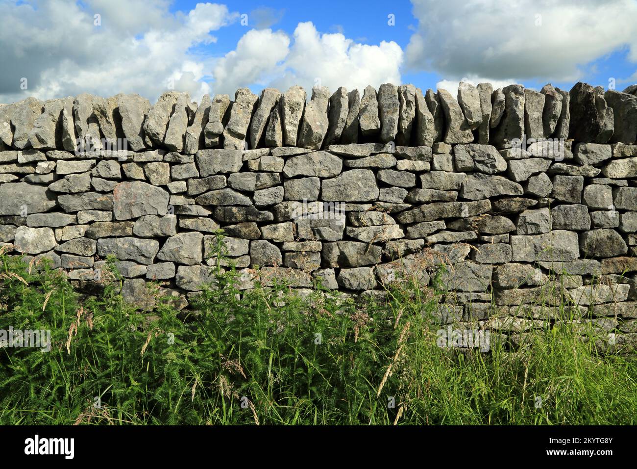 Example of a Carboniferous Limestone dry stone wall from Derbyshire ...