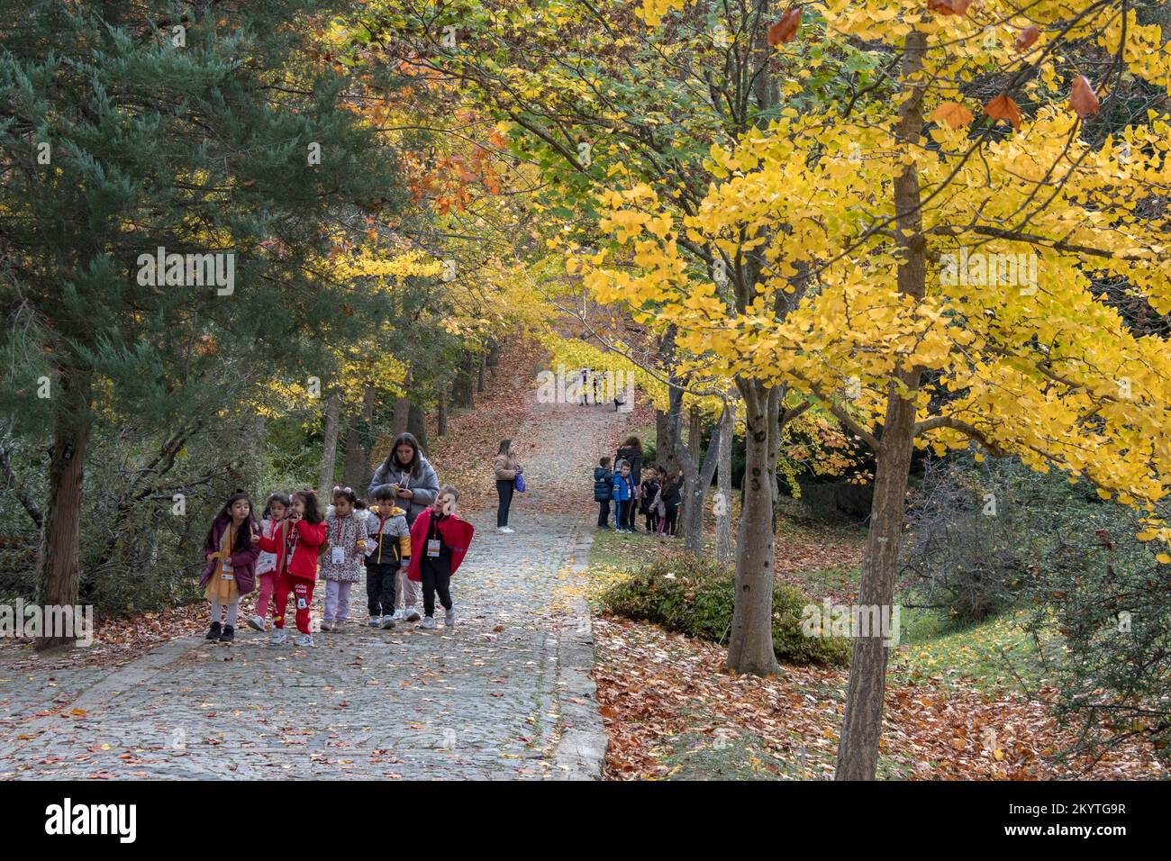 Fall Colours in Sariyer district of Istanbul, Turkey Stock Photo - Alamy