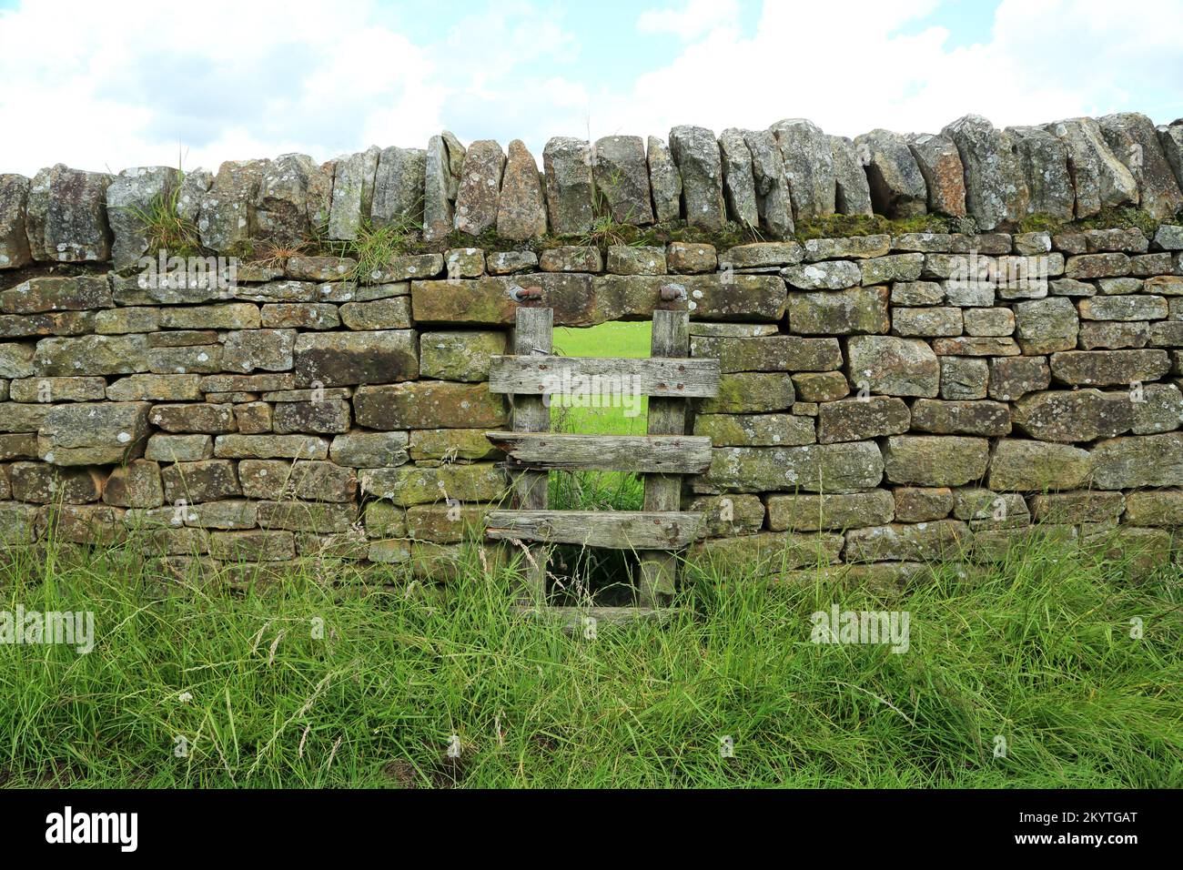 Example of dry Northumbrian dry stone wall made of sandstone with a ...