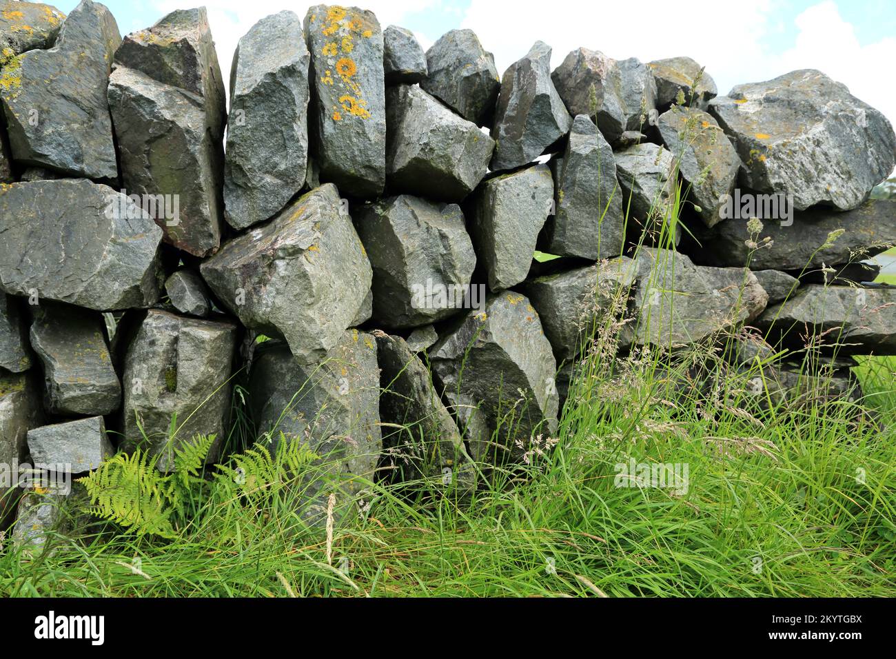 Example of dry stone wall made from Metamorphic Quartzite from Scottish ...