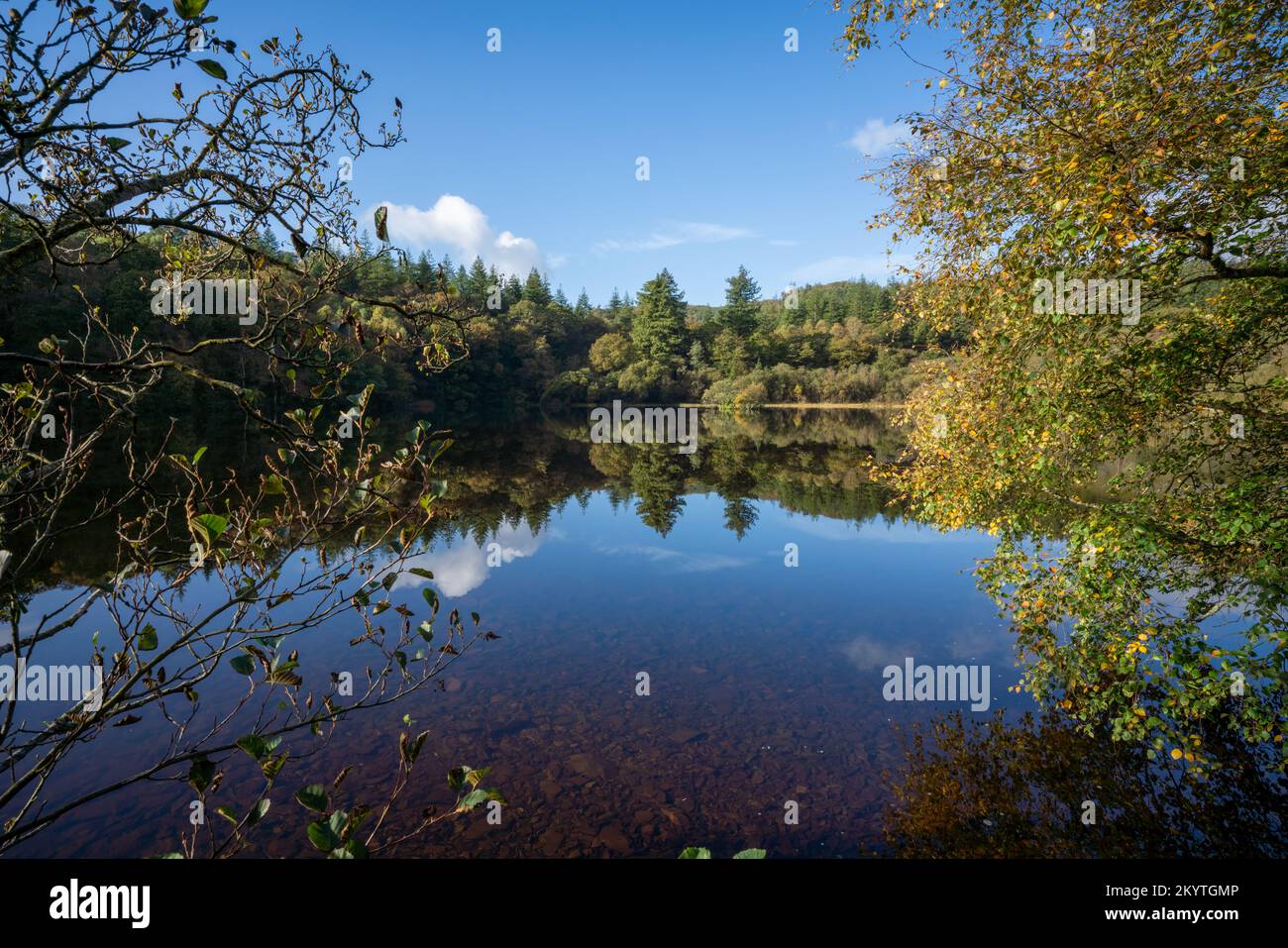 Reflective LLyn Mair near Maentwrog in Gwynedd, North Wales Stock Photo ...