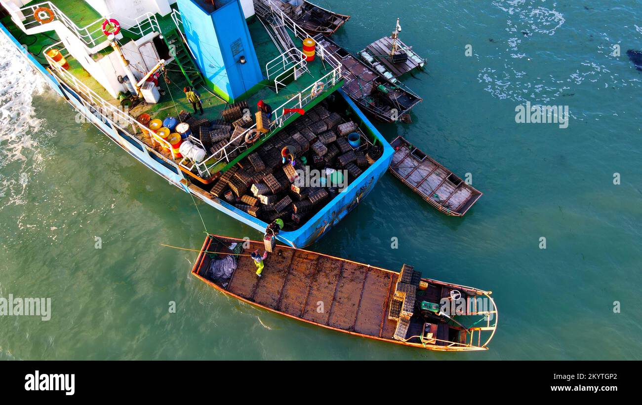 The busy scene in abalone area of a marine ranching in Rongcheng City ...