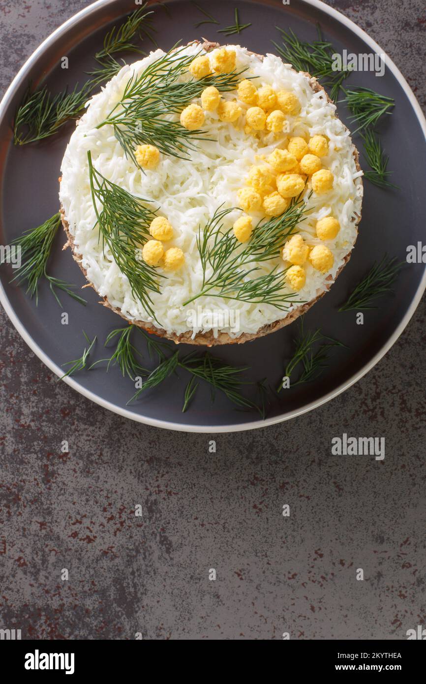 Round formed mimosa salad with vegetables, eggs and canned fish closeup ...