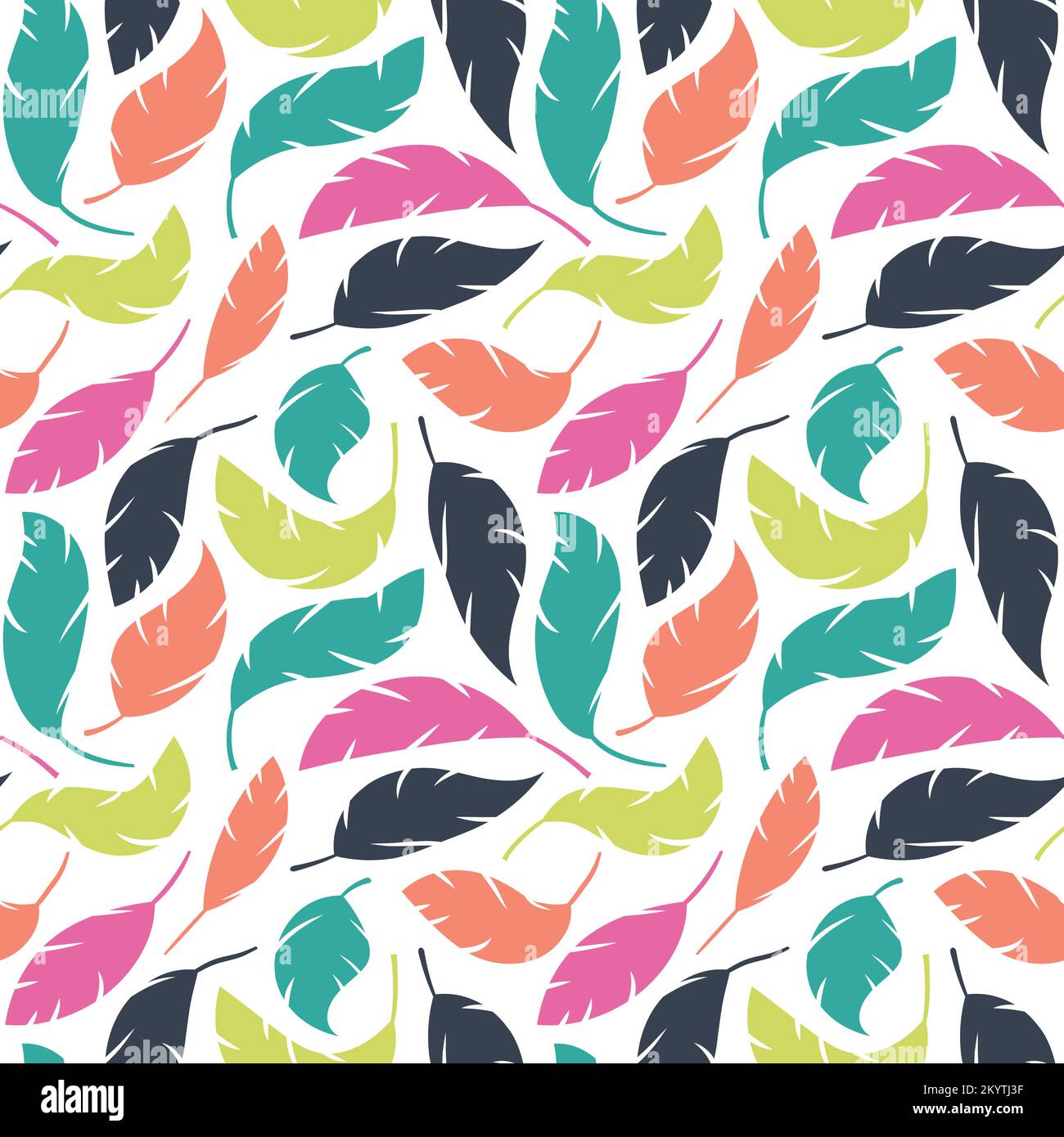 Indian peacock white feathers Stock Vector Images - Alamy