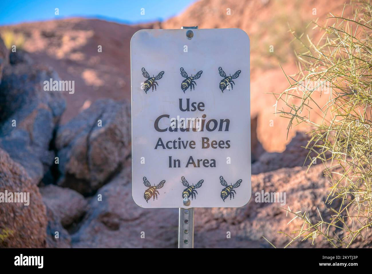 Phoenix, Arizona- Close-up of a signage with Use Caution Active Bees In ...