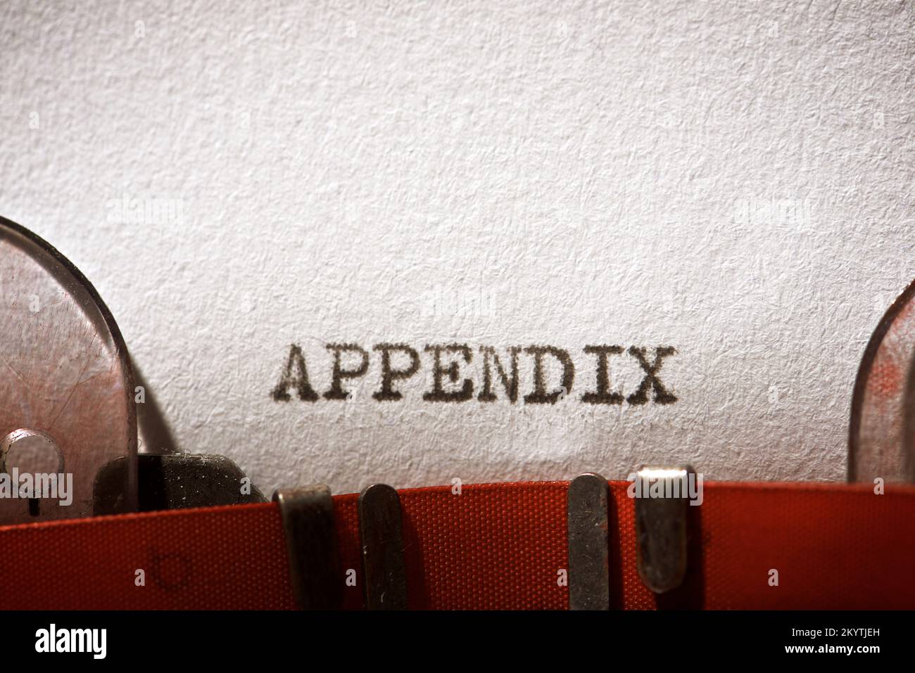 Appendix word written with a typewriter Stock Photo - Alamy
