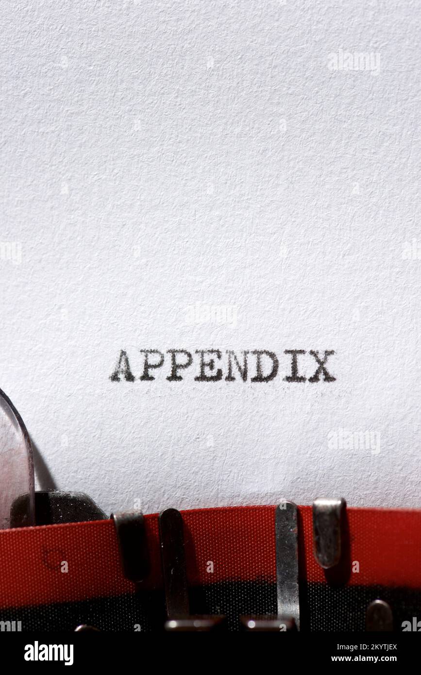 Appendix word written with a typewriter Stock Photo - Alamy