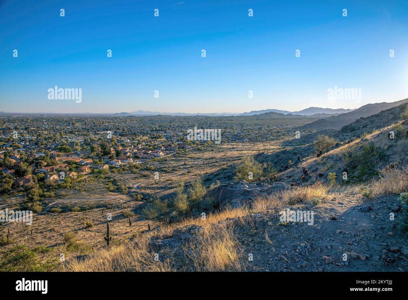 Phoenix, Arizona- Large field with cactuses near the slope of Pima ...