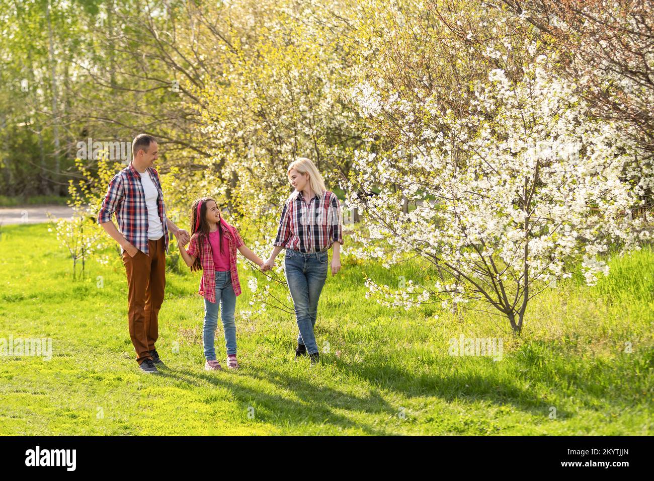 family walk the cherry trees Stock Photo - Alamy