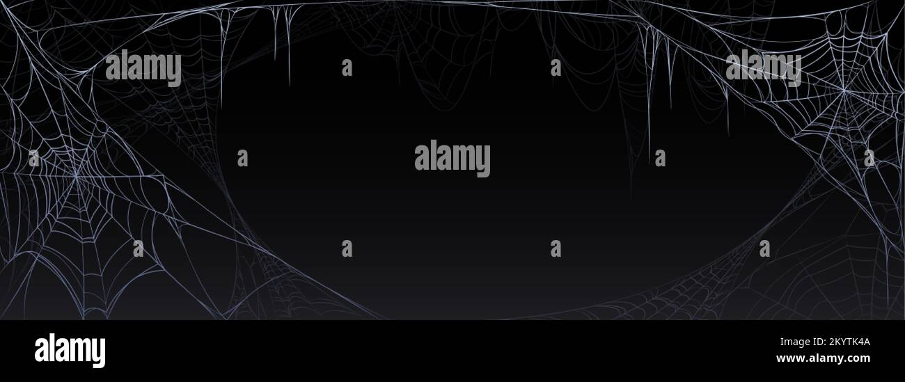 Spider web isolated on black background. Realistic vector illustration ...