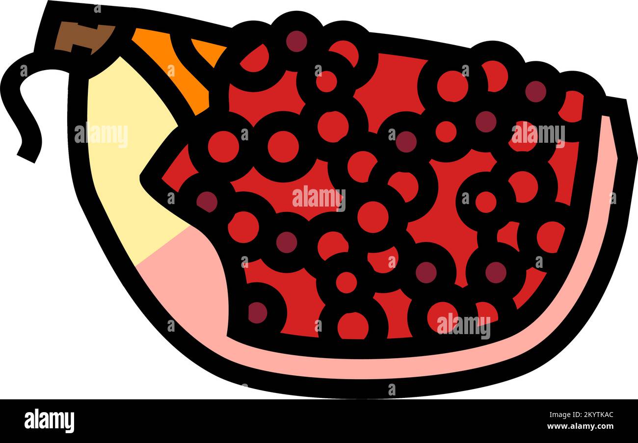 pomegranate cut ripe slice color icon vector illustration Stock Vector ...