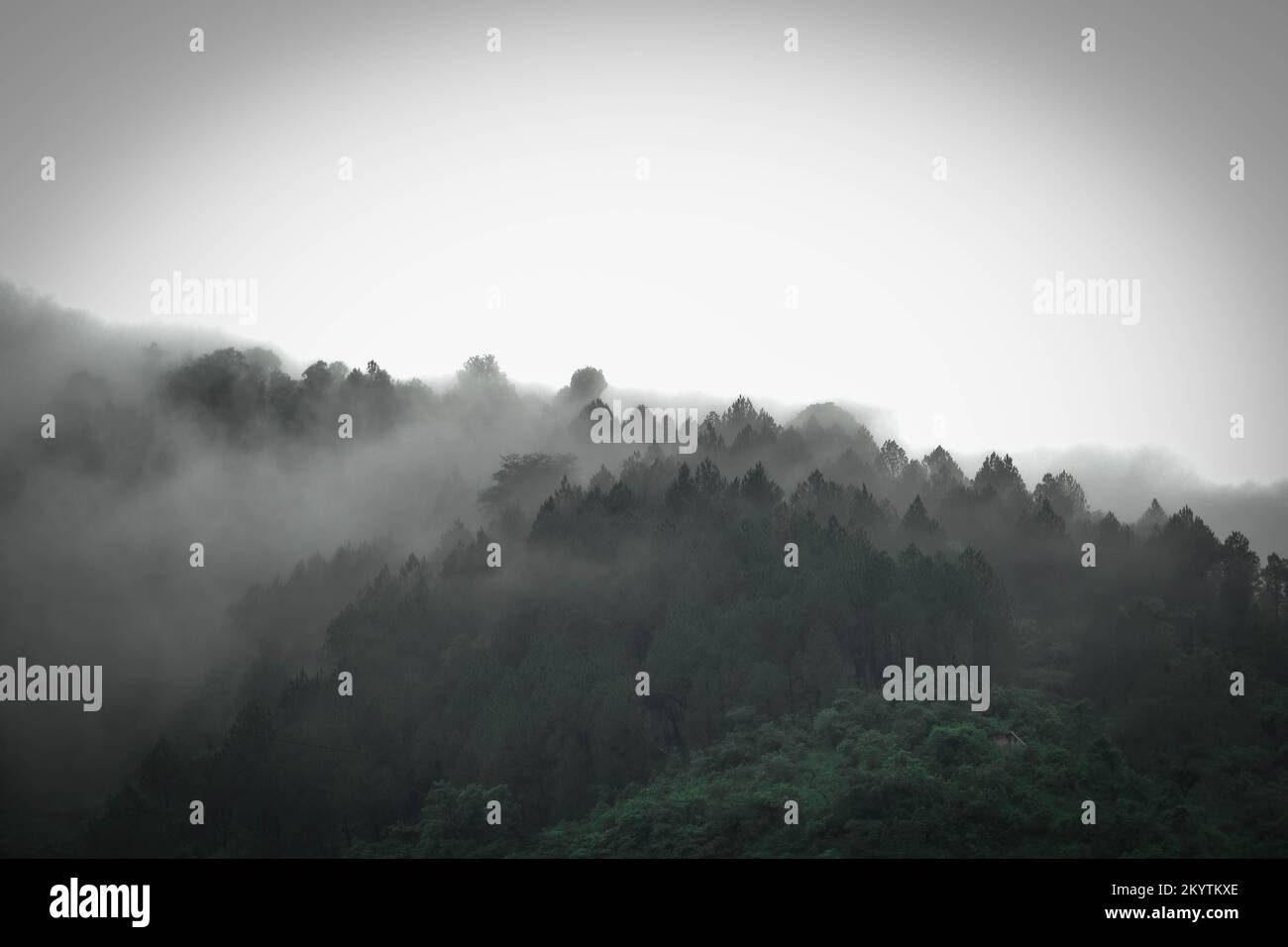 Beautiful picture foggy rocky landscape hi-res stock photography and images - Alamy