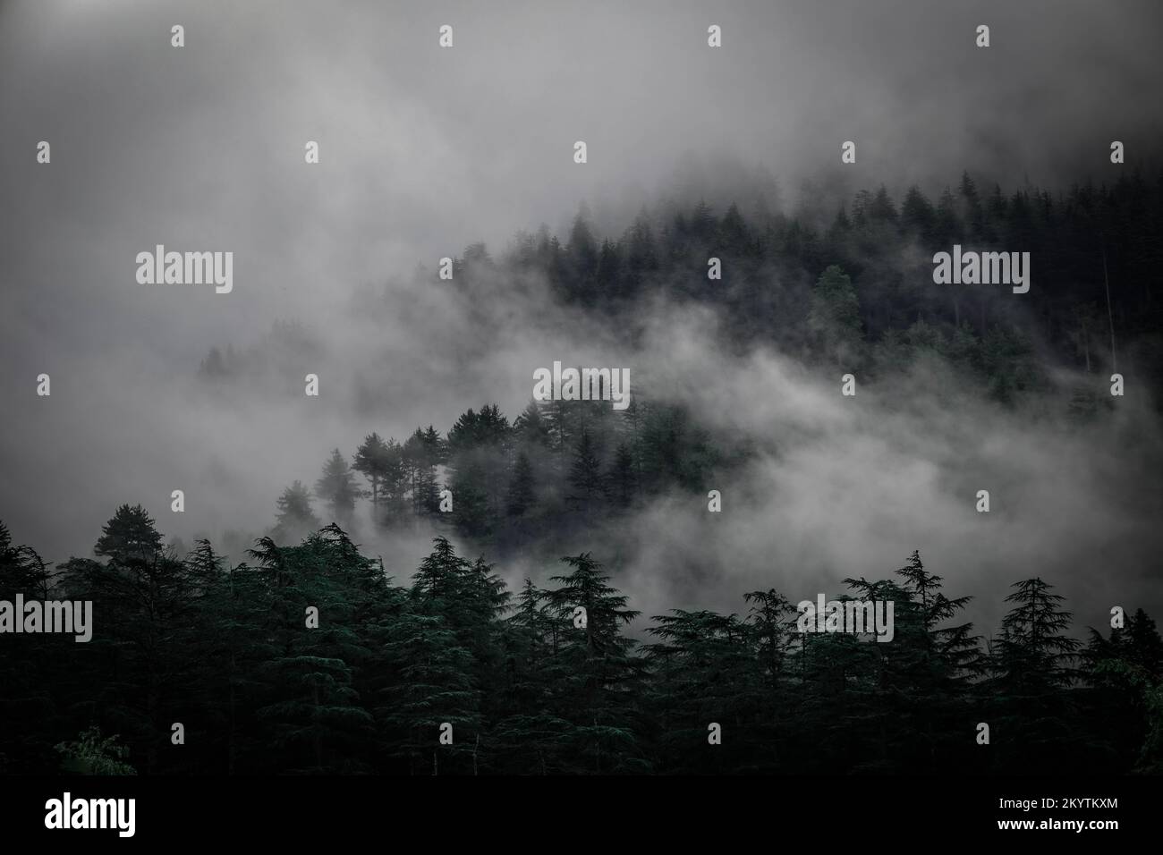 Beautiful picture foggy rocky landscape hi-res stock photography and images - Alamy