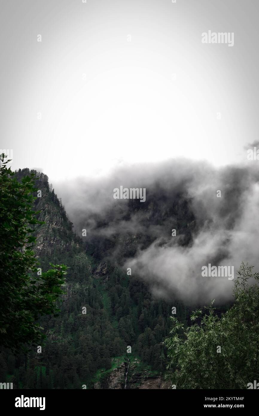 Tree cloud scenery hi-res stock photography and images - Alamy