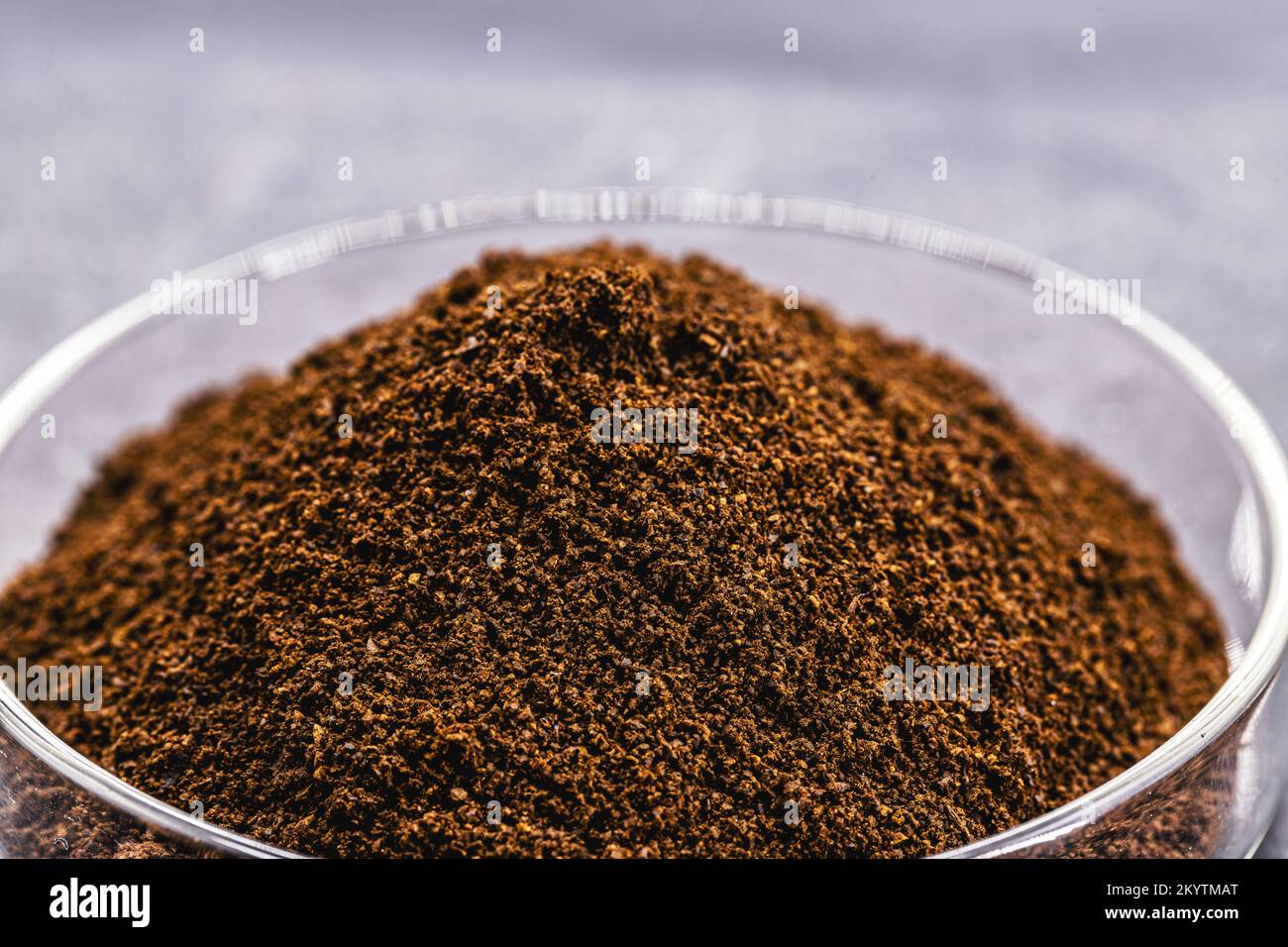 high quality coffee powder in petri dish, bio engineering laboratory ...