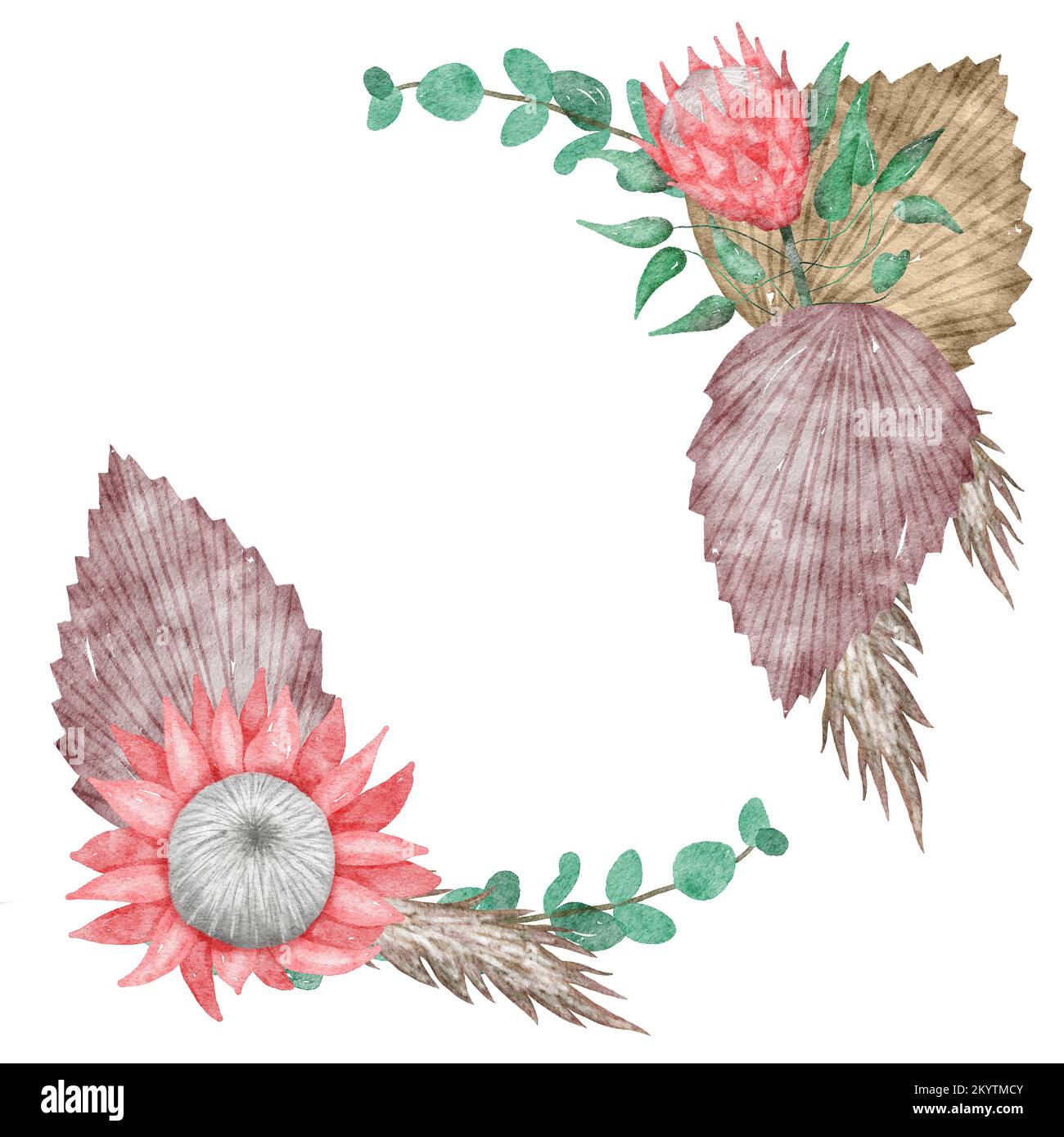 Watercolor frame with protea flowers and palm leaves Stock Photo - Alamy