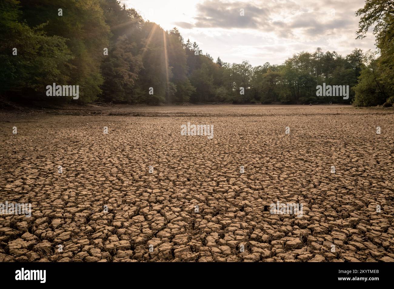 Dry mountain river bed in the forest, during the hot summer season ...