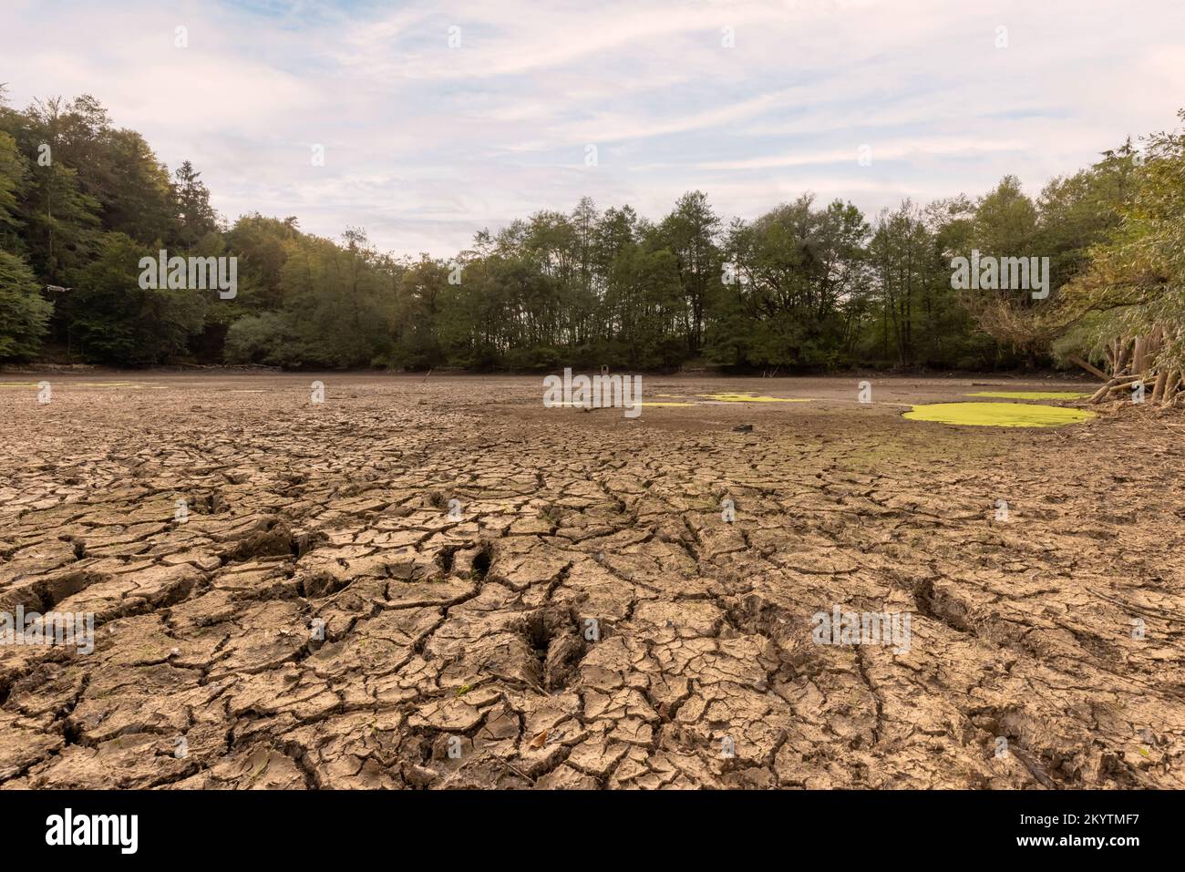 Dry and cracked mud ground during the summer drought, rough surface ...