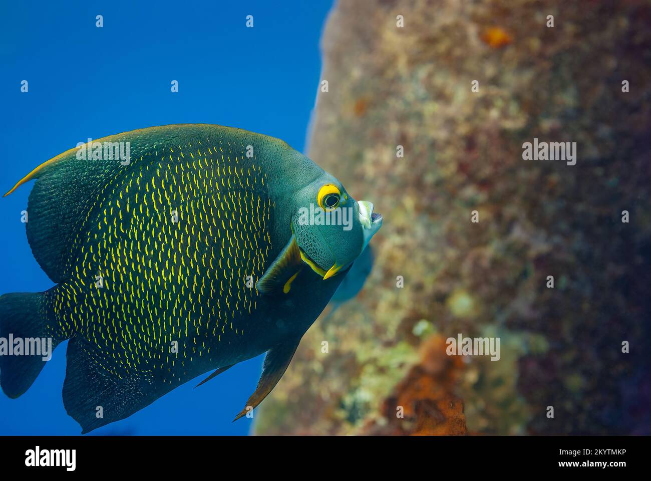 No swimming under pier hi-res stock photography and images - Alamy