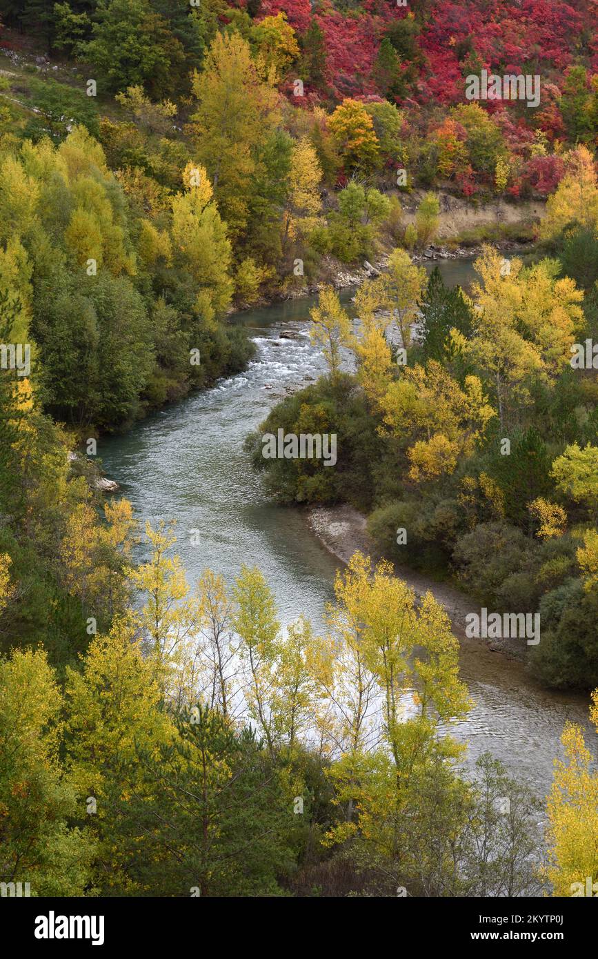 Autumn Colours on a Bend of the River Verdon just south of Castellane ...