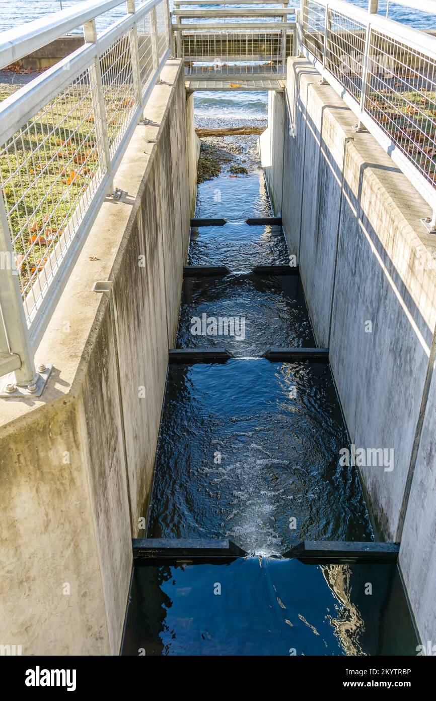 A cement fish ladder at Seahurst Park in Burien, Washington Stock Photo ...
