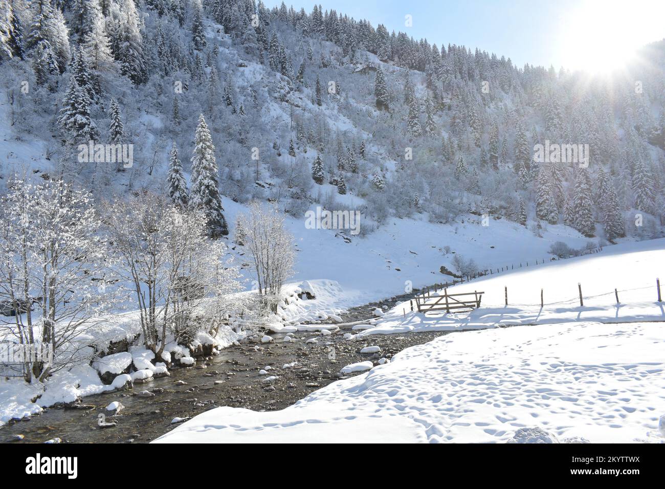 Winter snow snowy trees stream water hi-res stock photography and ...