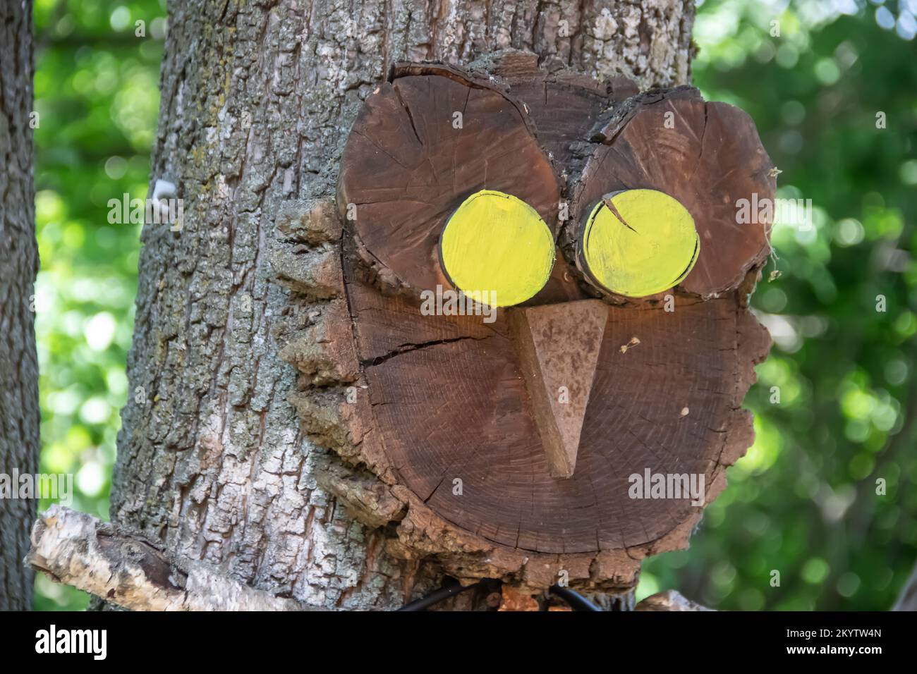Wooden owl handmade from pieces of timber, placed at the branch in ...