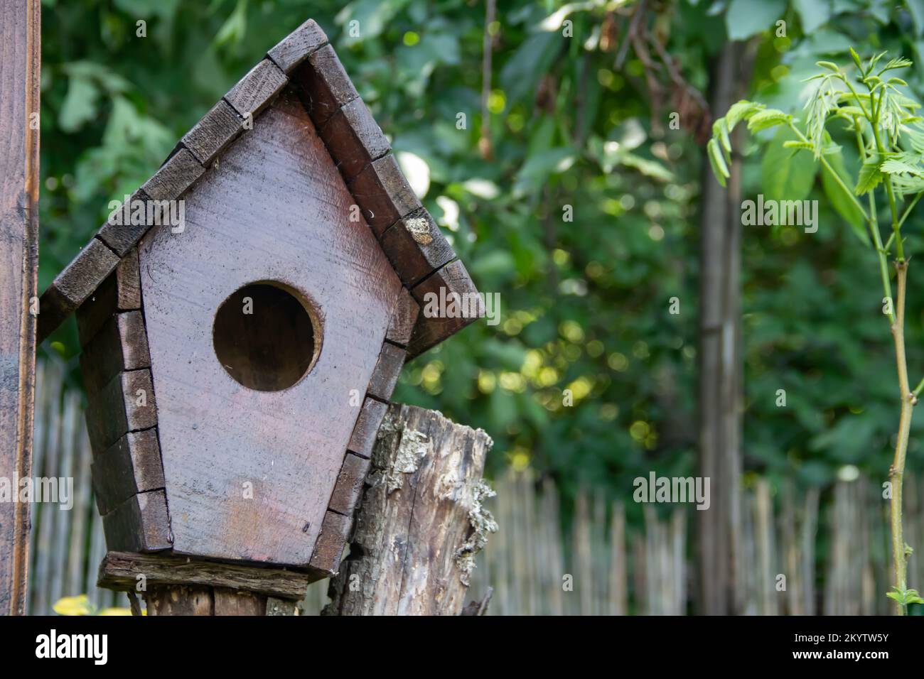 Hand made wooden shelter, bird house, placed on the tree in forest ...