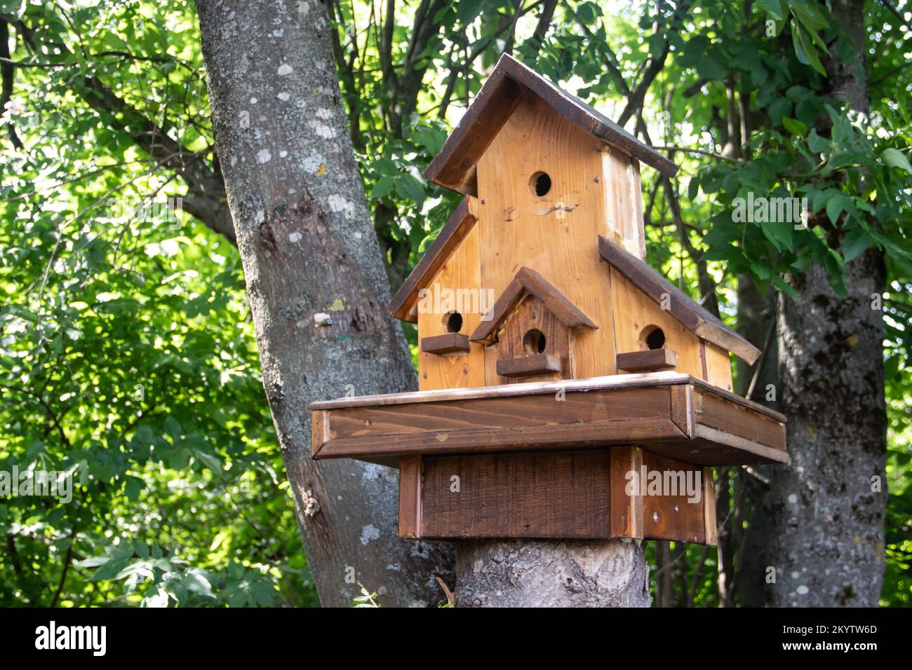 Hand made wooden shelter, bird house, placed on the tree in forest ...