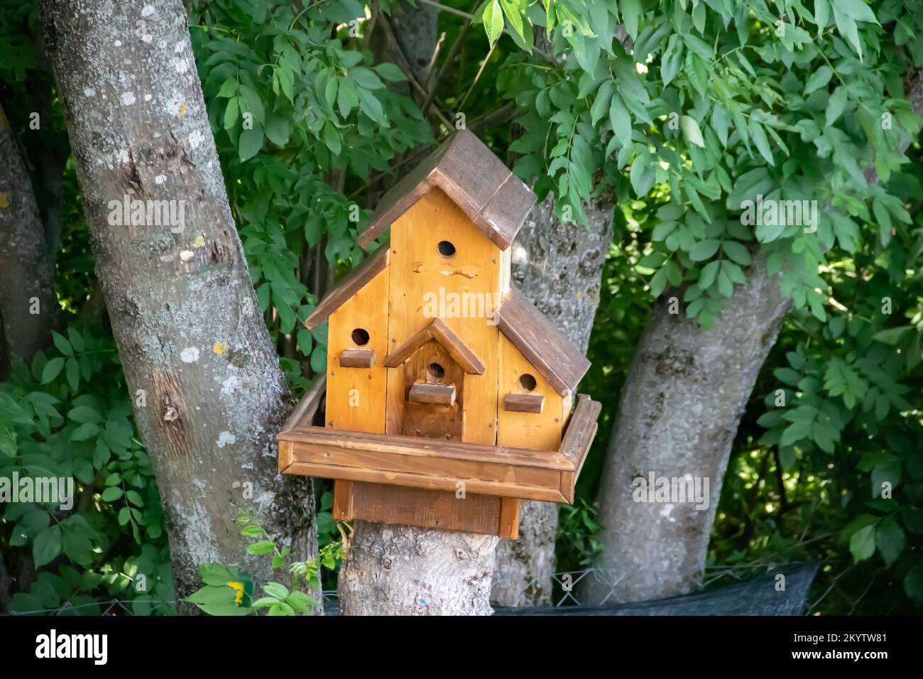 Hand made wooden shelter, bird house, placed on the tree in forest ...