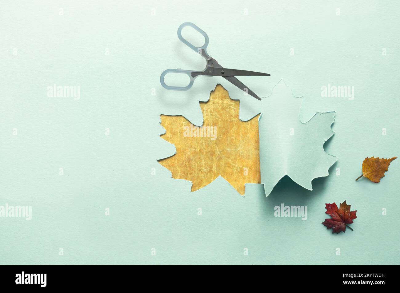 Scissors cutting autumn leaf shape revealing seasonal texture ...